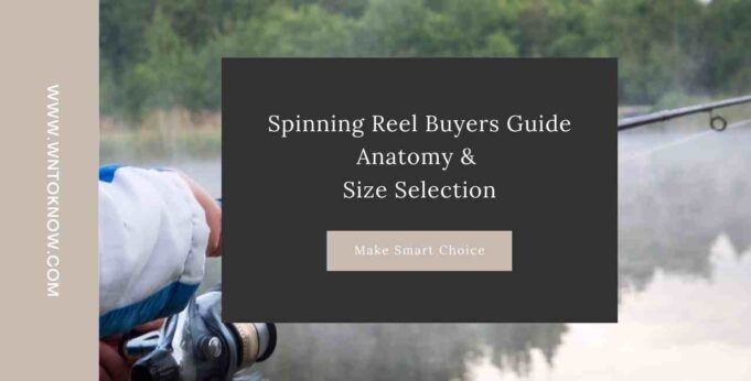 Spinning Reel Buyers Guide- Anatomy and Size Selection