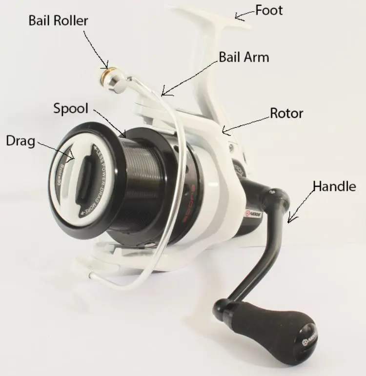 Spinning Reel Buyers Guide- Anatomy and Size Selection